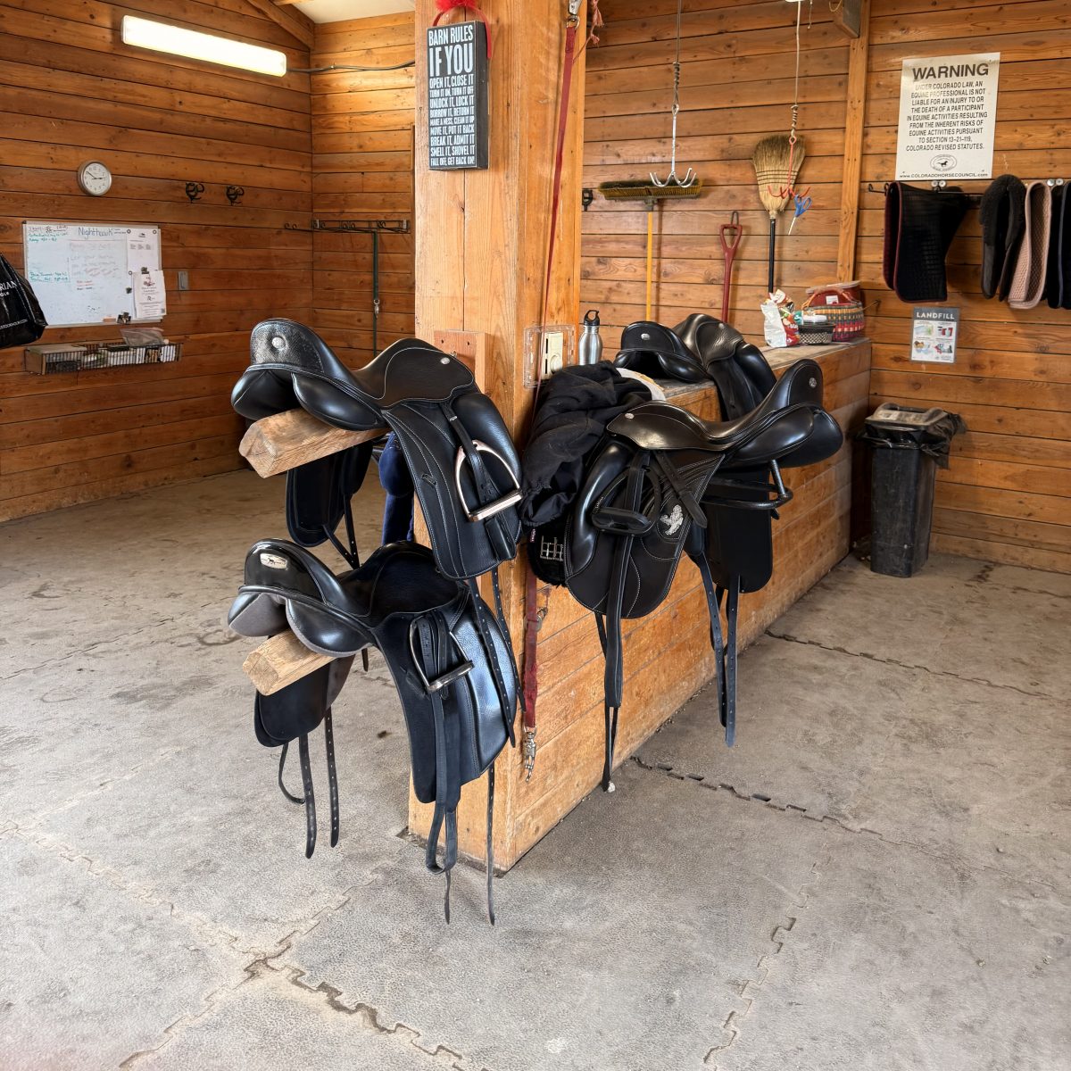 Saddle Fitting & Consultations | Happy Horse Saddle Services